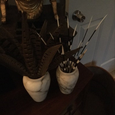 Authentic African Porcupine Quills, 5 Pcs, 9-12 Long Quills, Quill ...