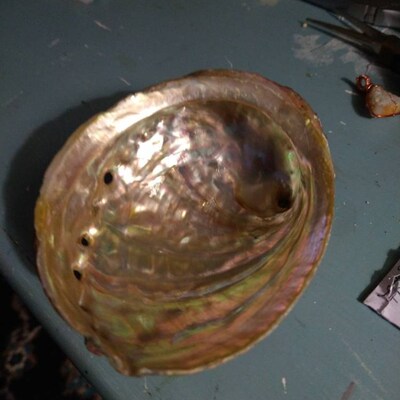 Nessastores Threaded Abalone Sea Shell One Side Polished Beach Craft 4 ...