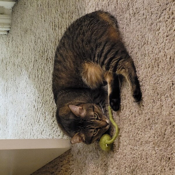 Felted Wool Cat Toy Mouse With Organic Catnip in Fresh Leaf Green ...