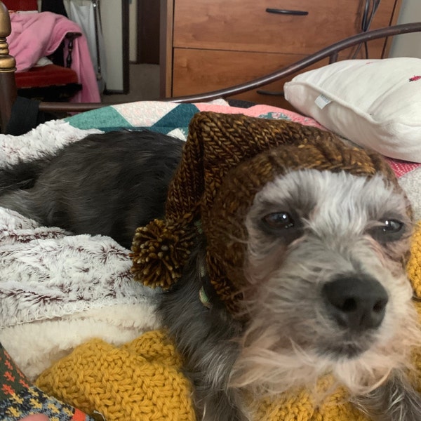 KNITTING PATTERN, Dog Hat, Dachshund Hat, Pet Clothes, Pet Hat, Wiener ...