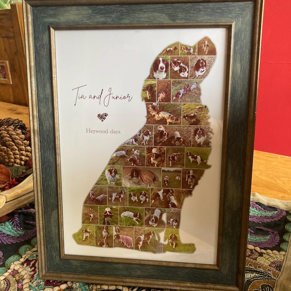 Cocker Spaniel Photo Collage Print: Personalized Pet Memorial Gift - Etsy