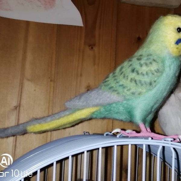 Cockatiel :wool Parakeetstuffed Animals - Etsy