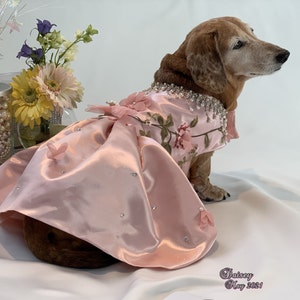 Star Spangled Girl Dog Harness Dress Xxsmall to 4xlarge Dog | Etsy