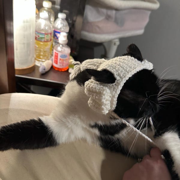 Crochet Pet Pattern, Brunhilde, Valkyries, Wagner Opera, Cat Hat ...