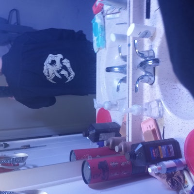 Large Sabertooth Dinosaur Big Cat Saber Tooth Tiger Head Iron-on ...