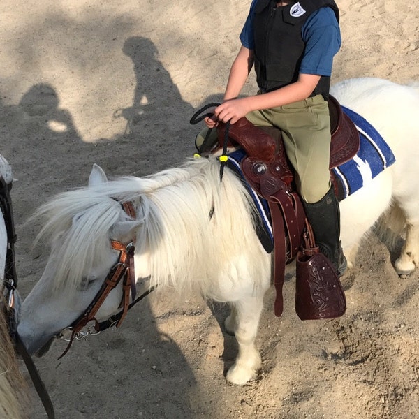 Training Lesson Reins for Ponies and Horses - Etsy