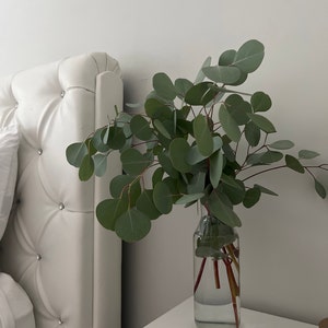 Fresh Gunni Eucalyptus/ Wedding/ Greenery/ Bouquet/ Silver | Etsy