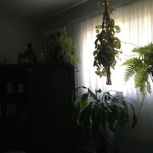 Rascals 13 Vintage Macrame Owl Patterns Instant Download PDF 24 Pages ...