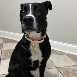 LINUS: Hand Stamped Personalized Custom Pet ID Tags for Dogs - Etsy