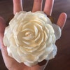 Lily Seashell 'dried' Forever Flower Handmade With Natural Florida ...