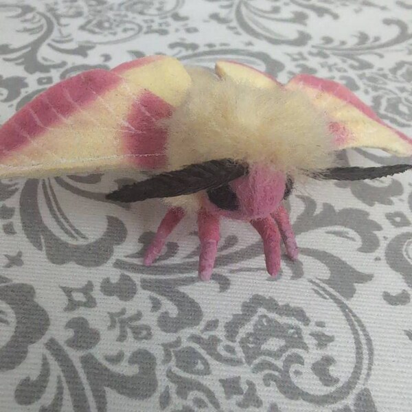 Rosey Maple Moth, Moth Figurine, Decoration, Needle Felted, Realistic ...