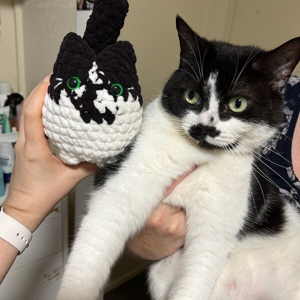 Blind Box Fish Series 1 - Crochet Amigurumi Plushie - Etsy