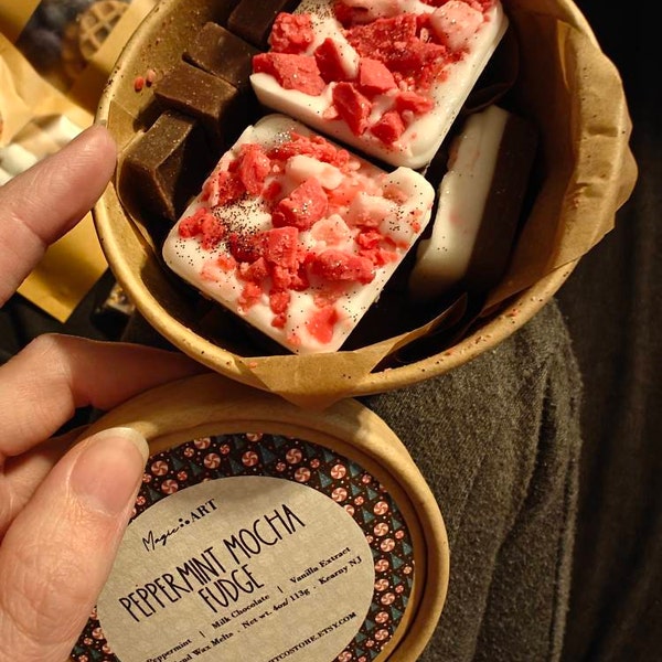 Popcorn Wax Melts, Desserts and Snacks Wax Melts, Fake Food Wax Melts ...