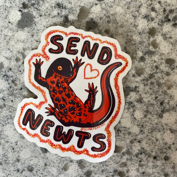 Metamorphic Pelitic Index Minerals Thin Section Study Bookmark ...