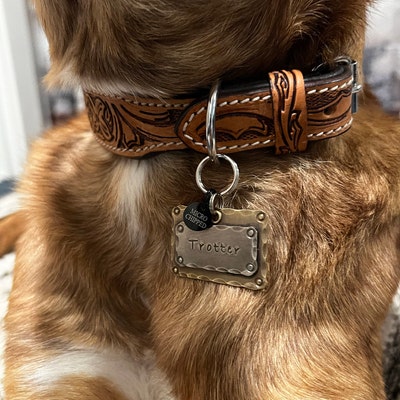 Tiny Microchip Dog Tag Microchipped Add On Dog Collar Pet - Etsy