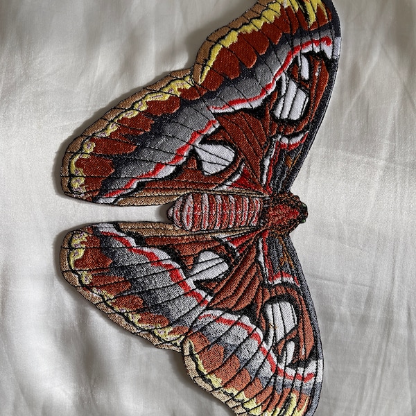Epic Life Sized Atlas Moth Attacus Atlas Snakehead Moth Butterfly Iron ...