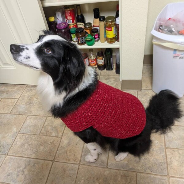 Ledger Sweater CROCHET Pattern - Beginner Friendly Sweater for Dogs in ...