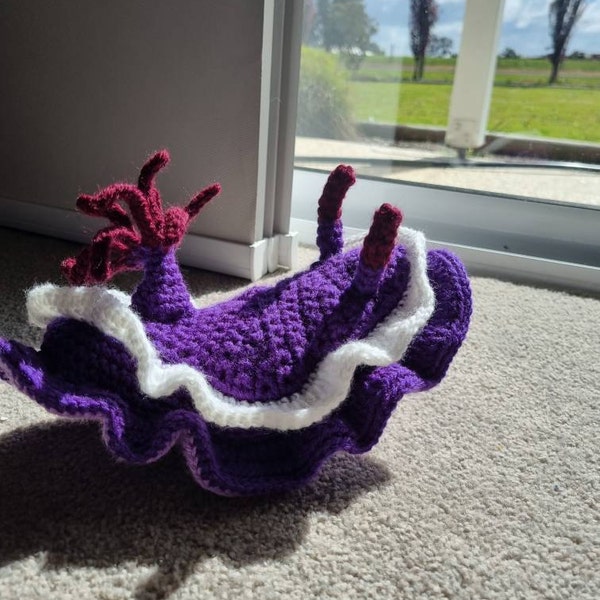 Nudibranchs Sea Slugs Set 1 Crochet Pattern by Crafty Intentions ...