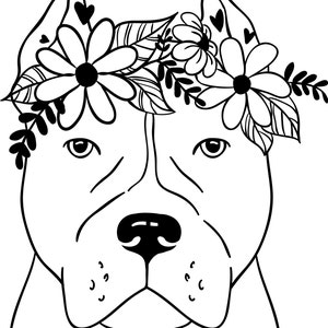 T-shirt Size Chart and Placement SVG T-shirt Size Chart Svg - Etsy