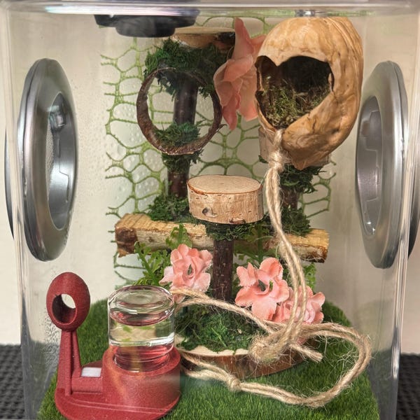 Jumping Spider Enclosure Decor - Etsy
