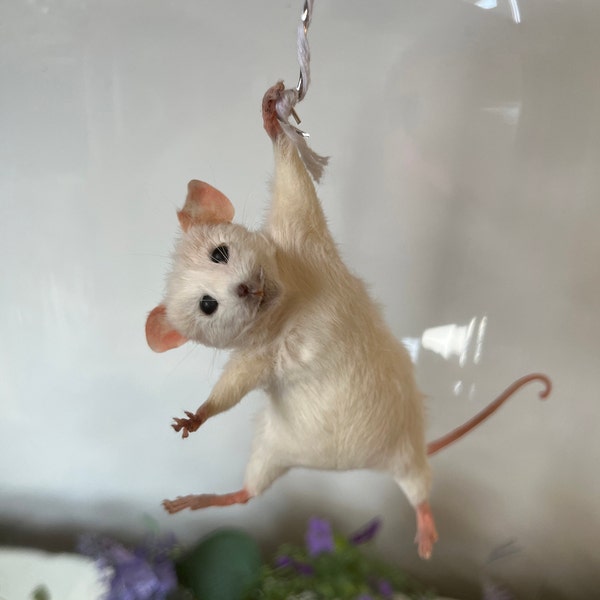 Hanging Mouse - Etsy UK