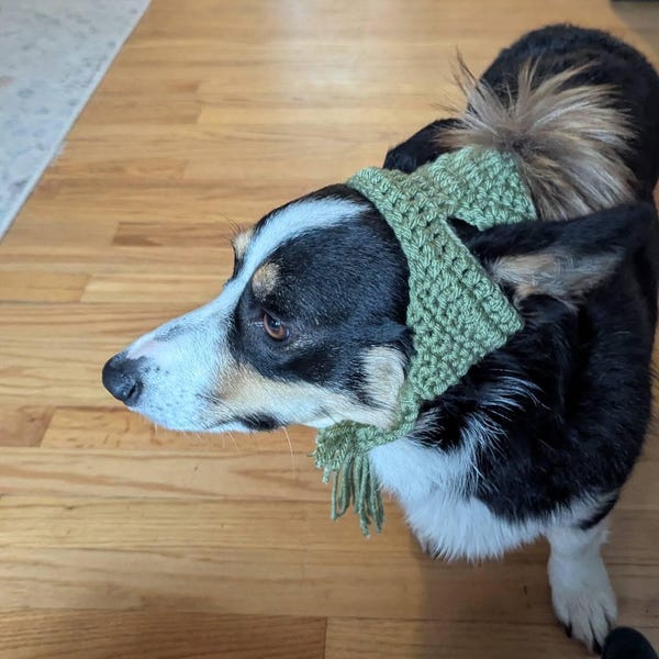 Corgi Beanie - Dog Beanie - Corgi Hats - Dog Hat - Dog Beanie - Fur ...