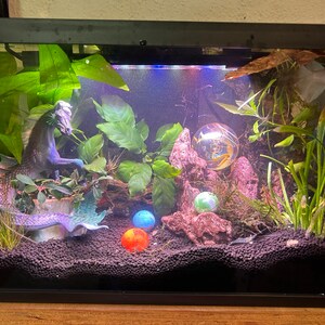 75 Gallon Aquascape Decor SOUL CANYON Aquarium Dragon Rocks - Etsy