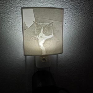 Leopard Print Skull Pattern PNG Halloween Theme Seamless - Etsy