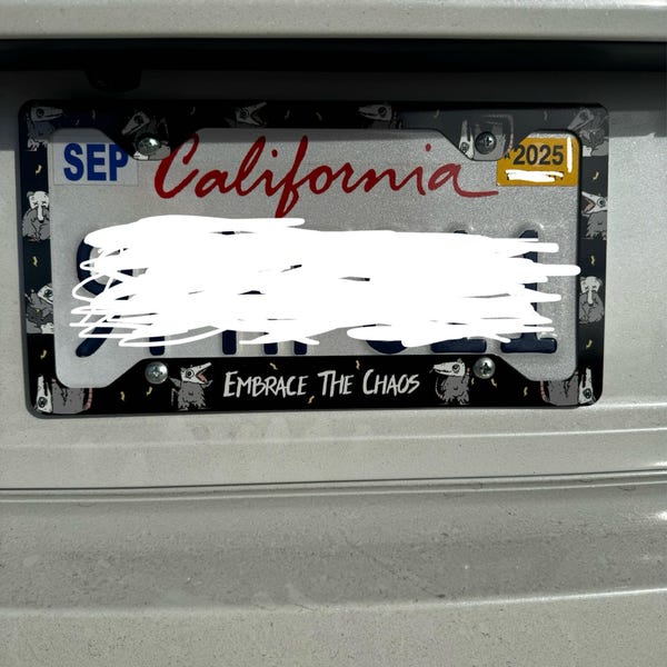 Opossum License Plate, Possum Car Decor, Funny Car Accessories for Men ...