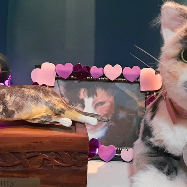 Mini Cat Backpacks-handmade Realistic Stuffed Cat Companion Gift for ...