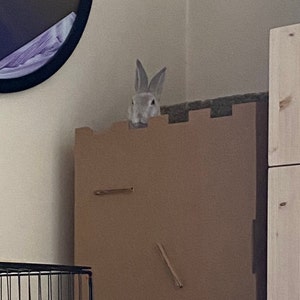 The Castle Corrugated Cardboard Castle for Bunny Rabbits & Cats - Etsy UK