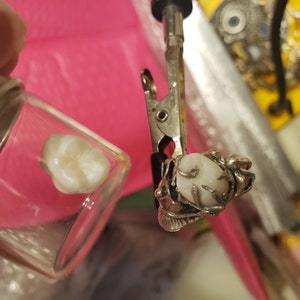 One Real Human Tooth Pendant Necklace - Etsy