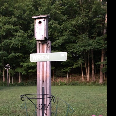 Wren, Wren Gift, Wren Sign, Wren Decor, Wren Lover, Bird Lover, House ...