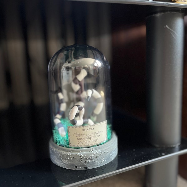 Vintage Vampire Hunting Kit Shadow Box Large Brown - Etsy