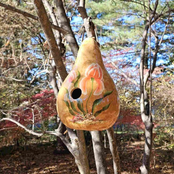 Gourd Birdhouse, Hand Painted Gold Finch Gourd, Birdhouse, Garden Art ...