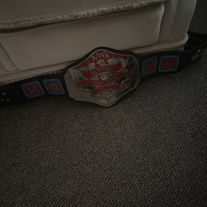 Pabst Blue Ribbon Fantasy Football Championship Wrestling Belt - Etsy