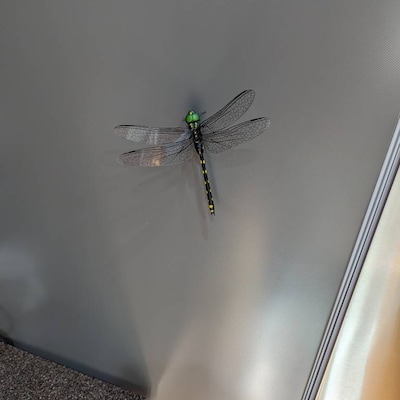 Ladybug, Bug Magnet, Small Size Handmade Clay Magnet Insect Figurine ...