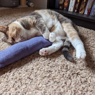 Catnip Buds 4 Oz Bundle / Pure Cat Fun / Made and Organically Grown in ...