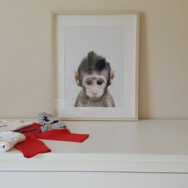 Baby Monkey Print, Baby Monkey Wall Art, Baby Animal Prints, Baby ...