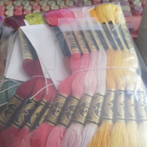 DMC Graduated Shade Set Chartreuse DMC 14 15 16 704 703 - Etsy