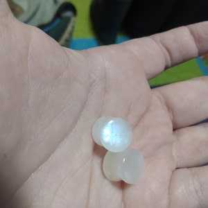 AAA Rated Organic Howlite Stone Pinchers Septum Tusk | Etsy