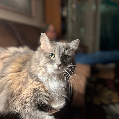 DIY Envelope, Printable Envelope Template, A2 Envelope Template, A7 ...