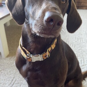 Beautiful Fall Indian Corn Collar by Swankypet | Etsy