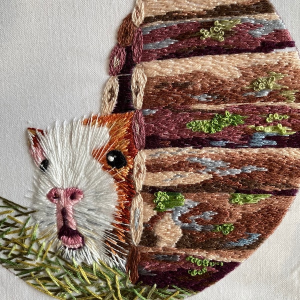 Loon Embroidery Kit, Complete Kit, Detailed Instructions, DMC Floss ...