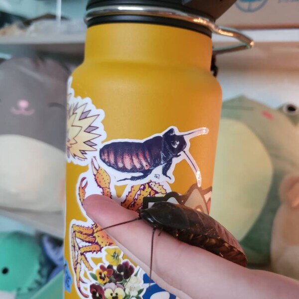 Isopod Bookmark - Block Print, Each One is Unique! - Etsy