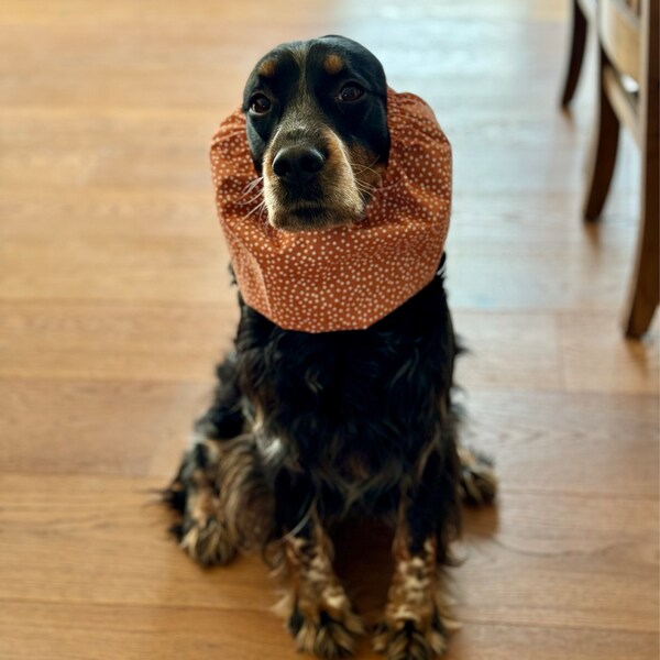 Cotton Snoods - Snoods for Long-eared Dogs - Ear Protector - Dog Snood ...
