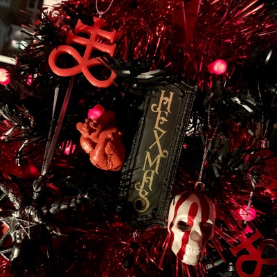 Framed Magpie Skull, 3D Gothic Wall Art, Halloween Home Decor - Etsy