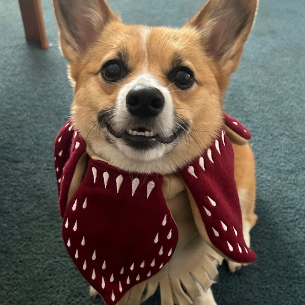 Demodog Demogorgon Stranger Things Inspired Embroidered Dog Costume ...
