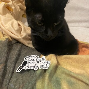 Welcome to the Catio Wood Sign, Cat Head Sign, Cat House Sign, Wood Cat ...