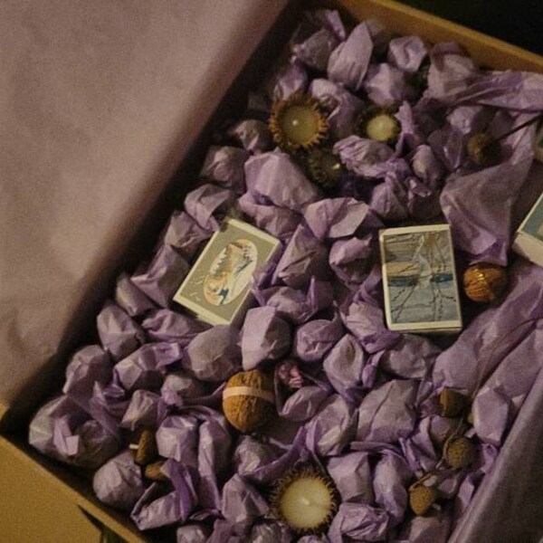 DIY Walnut Advent Calendar: 24 Matching Walnut Pairs (48 Shells ...